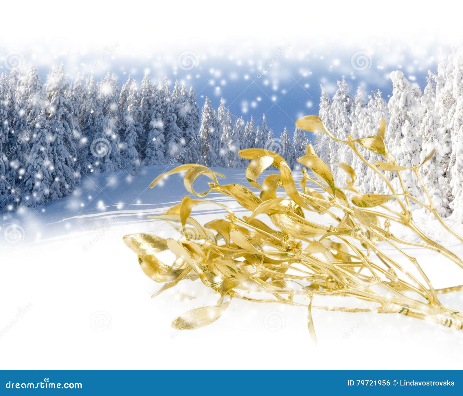Gold Mistletoe Branch stock photo. Image of life, closeup - 79721956