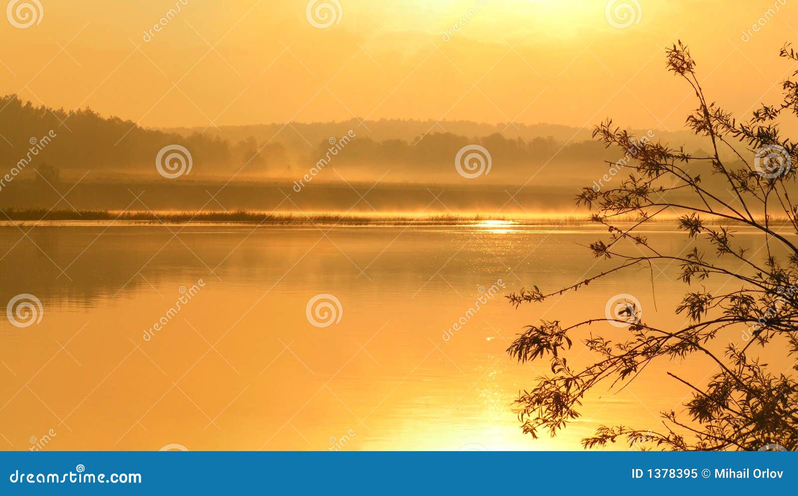 Gold morning on the river. stock image. Image of color - 1378395