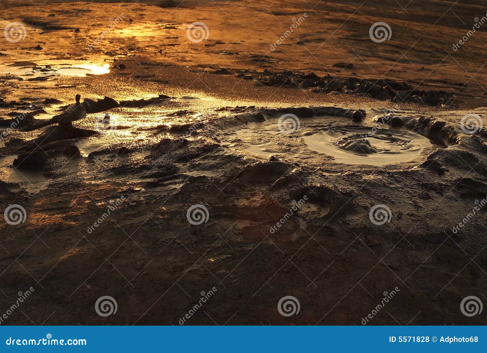 Gold Mud Picture. Image: 5571828