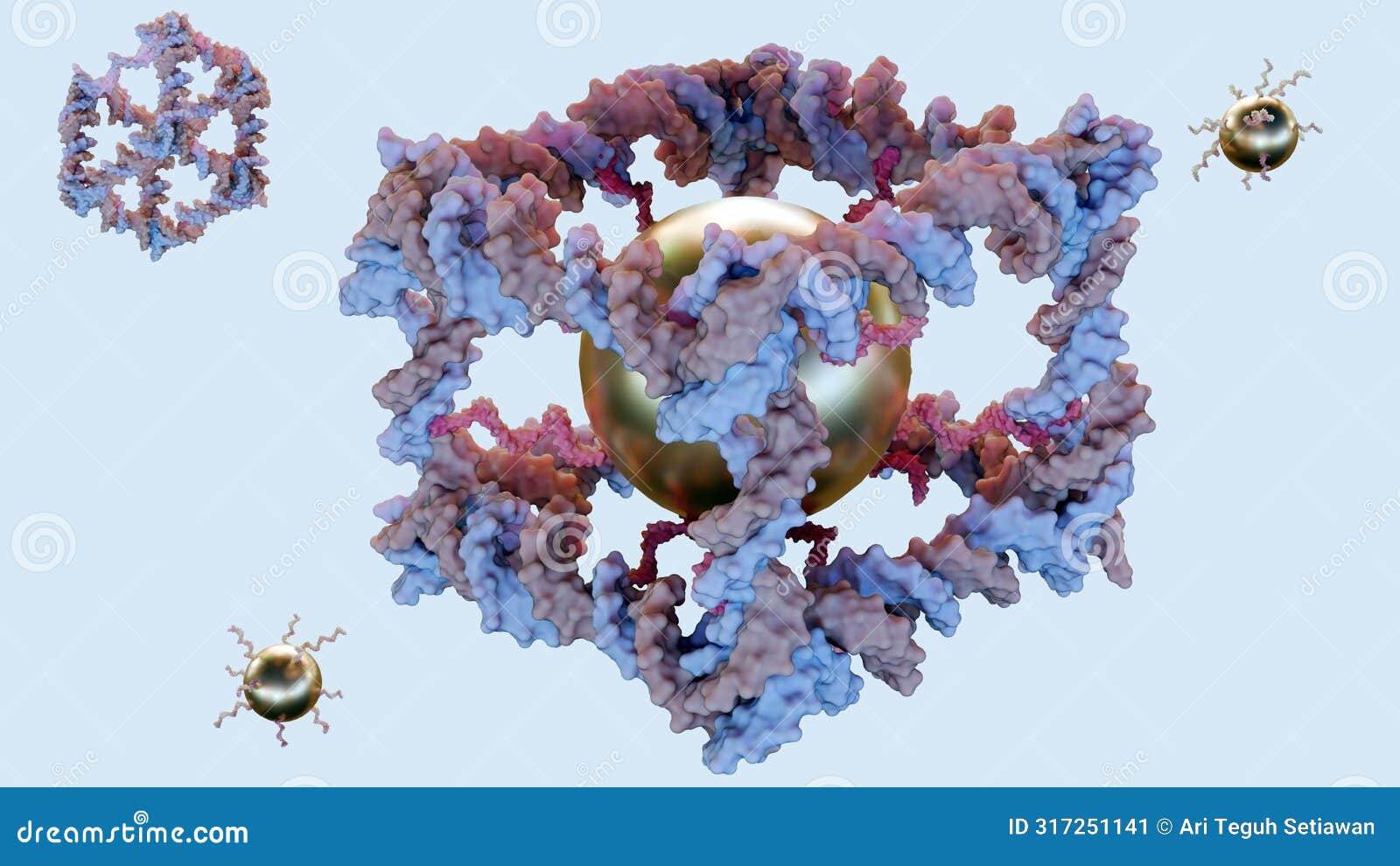 Gold Nanoparticles (AuNPs) Conjugate RNA Helix Strand Stock Image ...