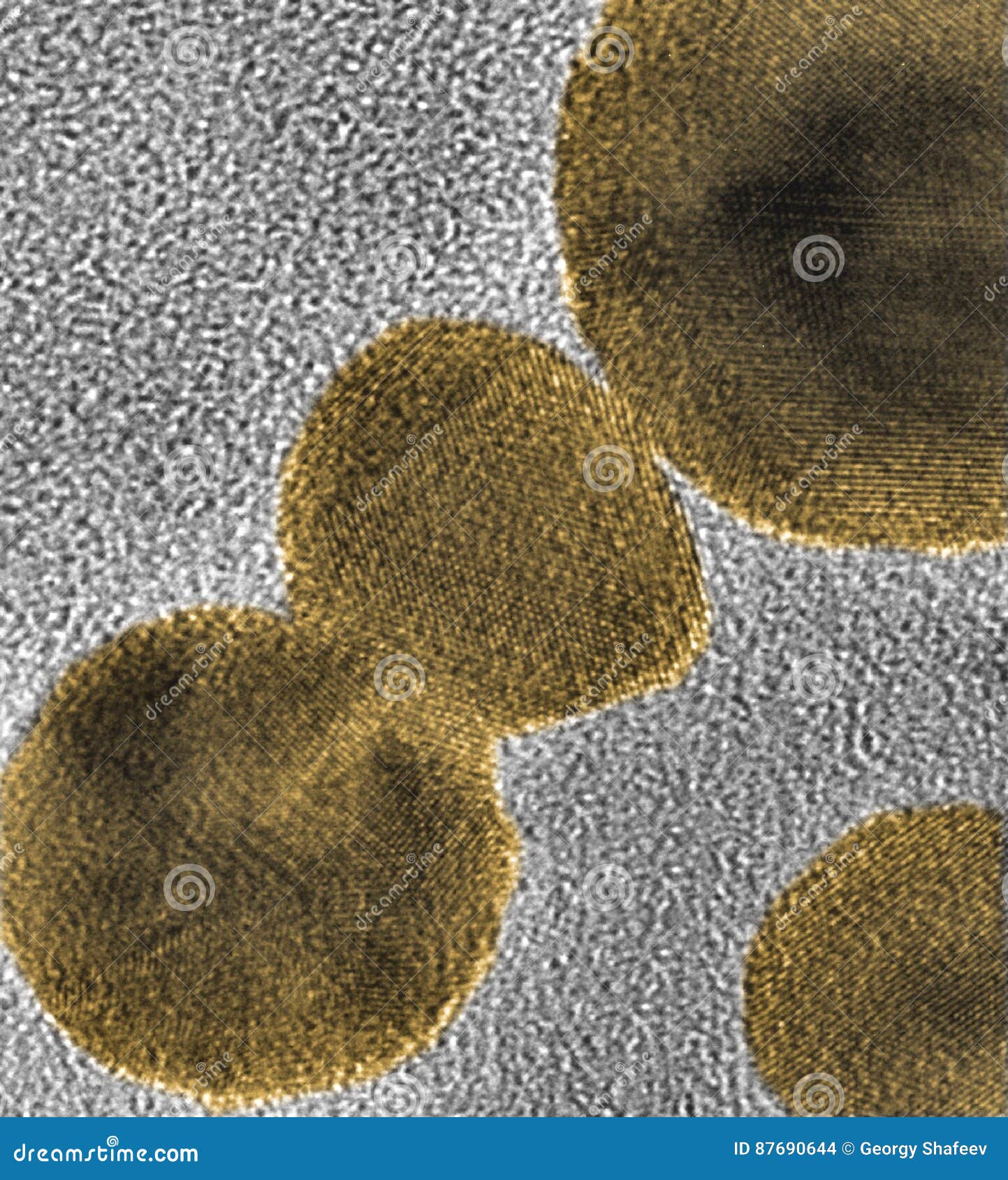 Gold Atom Microscope