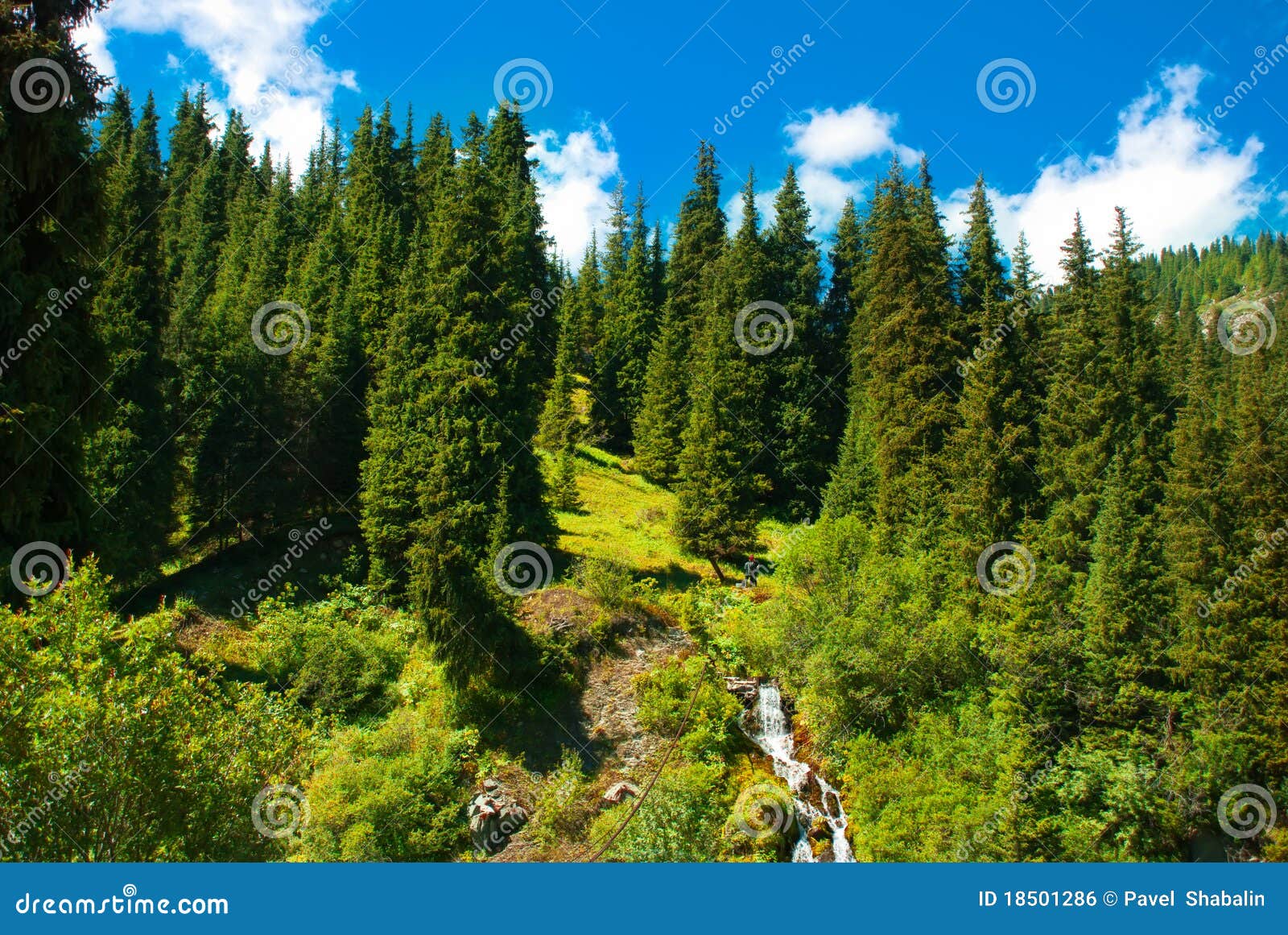 Gold Nature stock photo. Image of hiking, sunny, height - 18501286