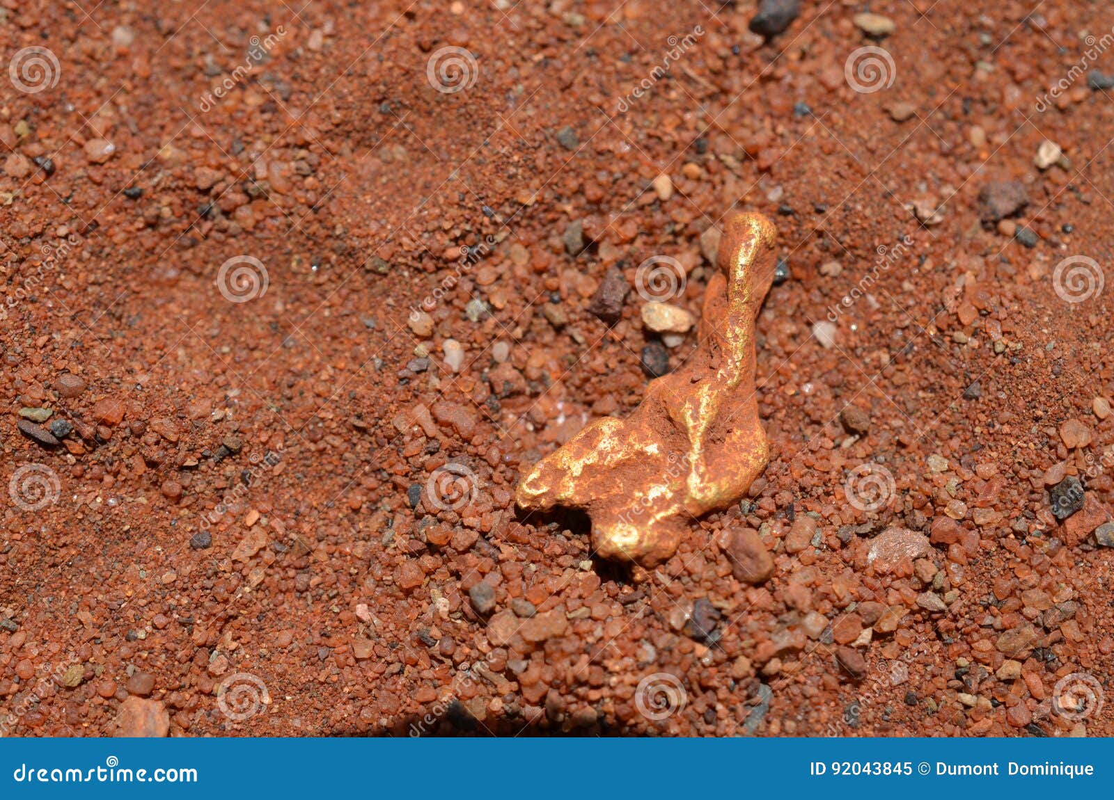 Gold nugget stock image. Image of prospecting, soil, precious - 92043845