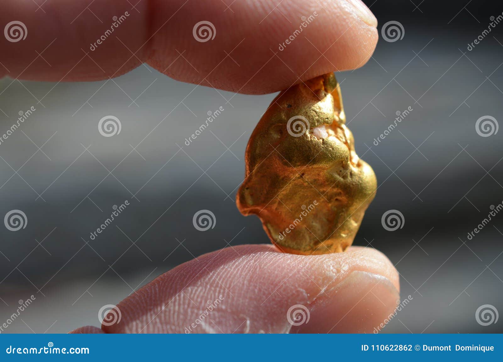 Gold Nugget from the Goldfields of Australia. Stock Photo - Image of ...