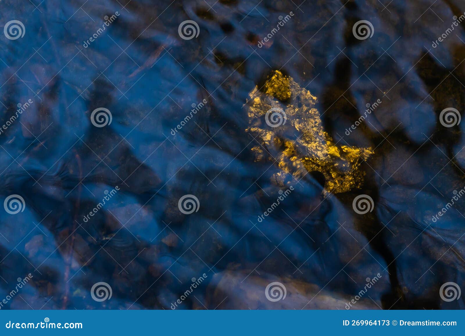 Gold Nugget Mining from the River in Austria, Real Gold. Stock Image ...