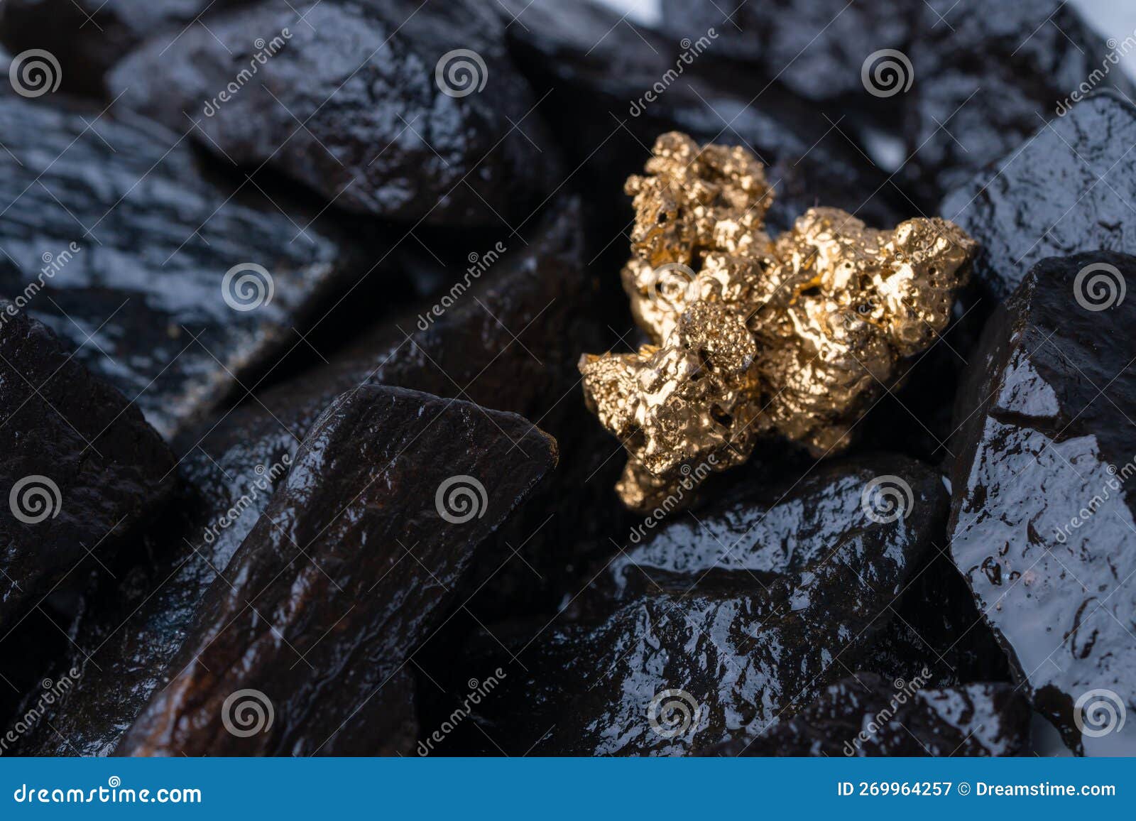 Gold Nugget Mining from the River in Austria, Real Gold. Stock Image ...