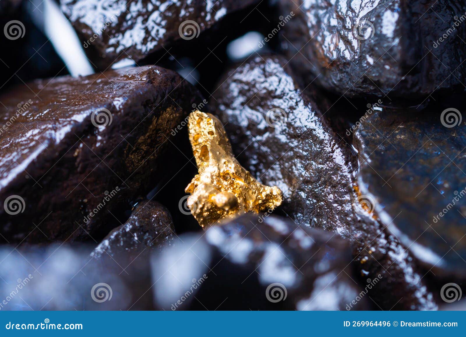 Gold Nugget Mining from the River in Austria, Real Gold. Stock Photo ...