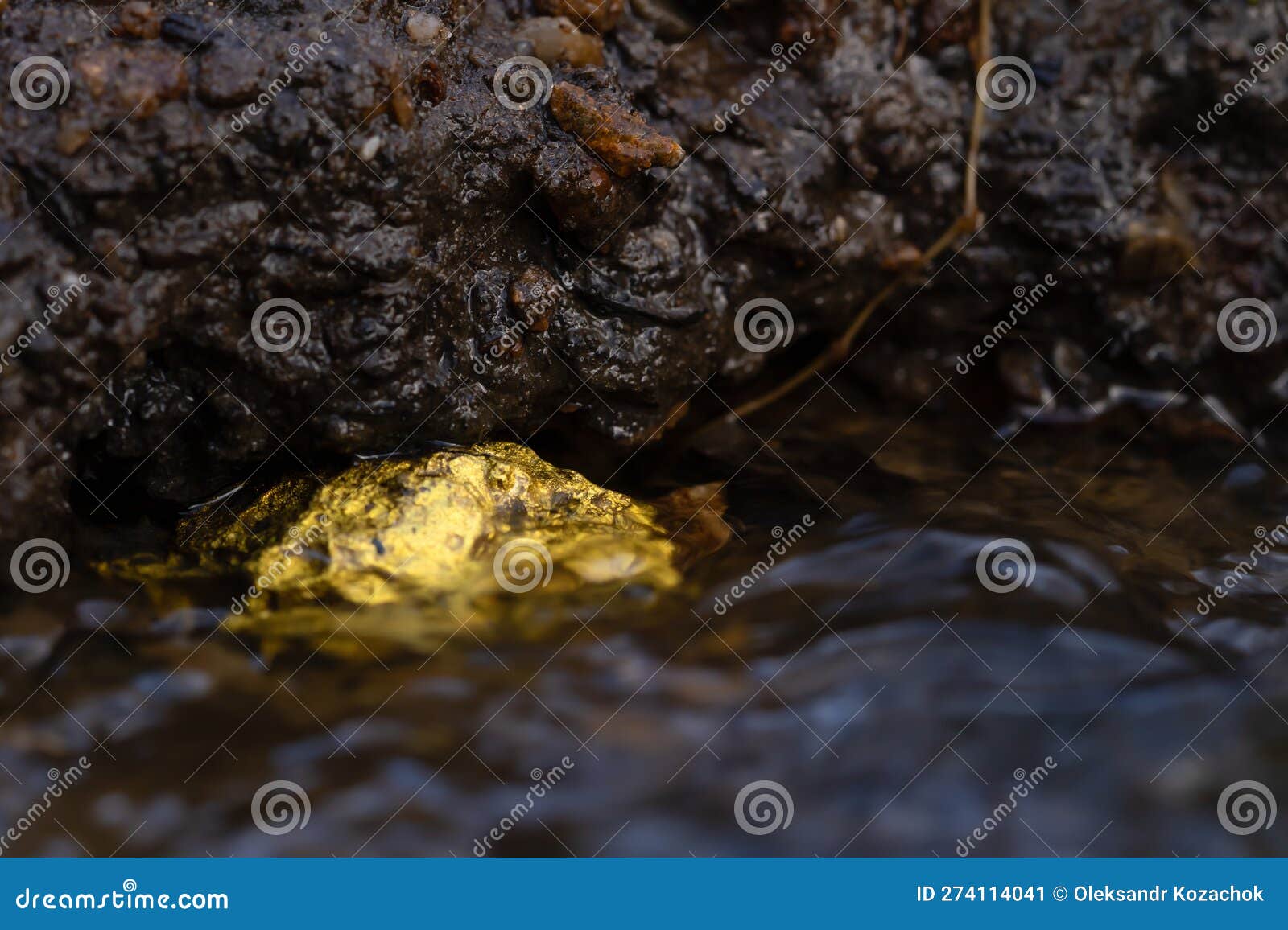 Gold Nugget Mining from the River in Austria, Real Gold. Stock Image ...