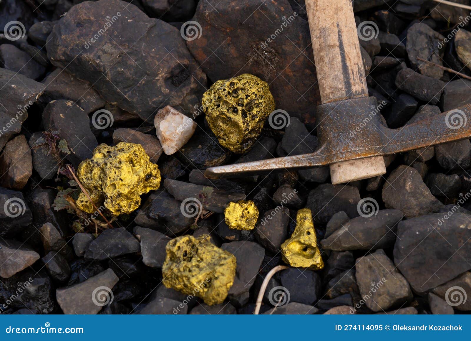 Gold Nugget Mining from the River in Austria, Real Gold. Stock Image ...