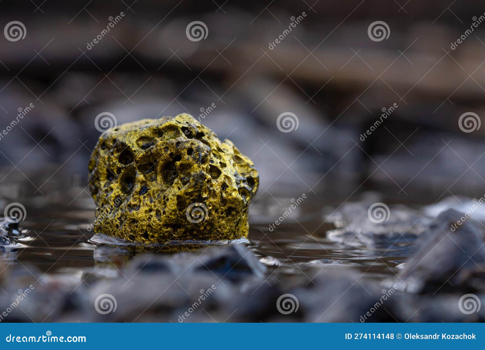 Gold Nugget Mining from the River in Austria, Real Gold. Stock Photo ...