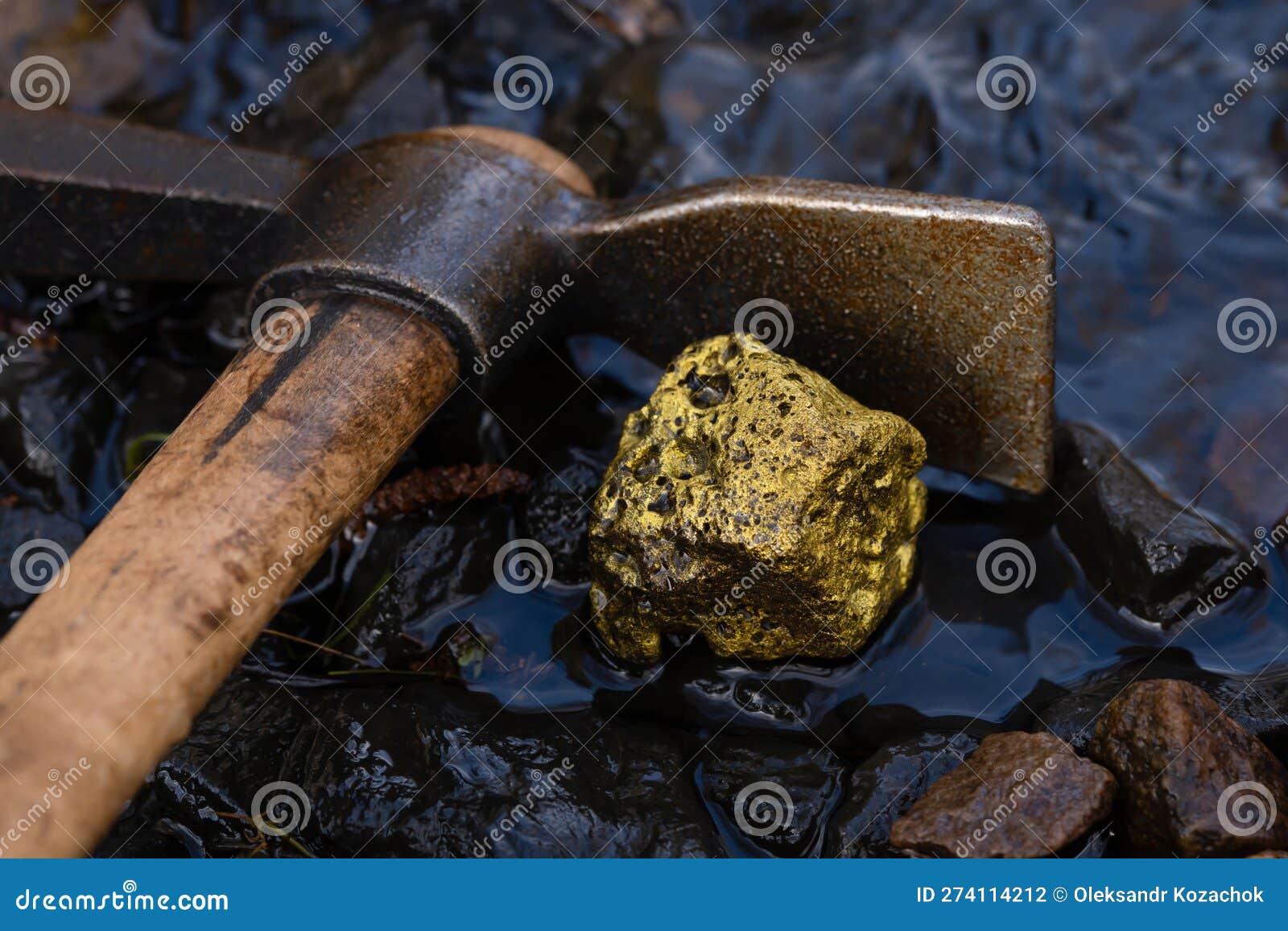 Gold Nugget Mining from the River in Austria, Real Gold. Stock Photo ...