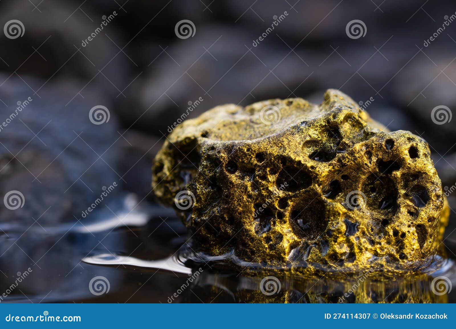 Gold Nugget Mining from the River in Austria, Real Gold. Stock Image ...