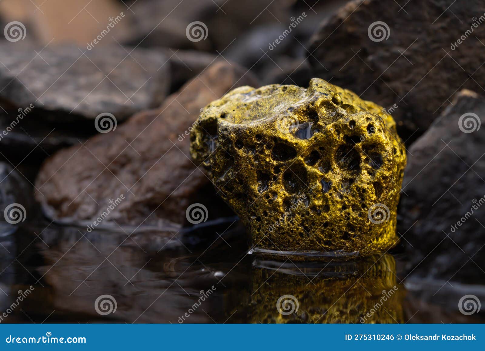 Gold Nugget Mining from the River in Austria, Real Gold. Stock Photo ...