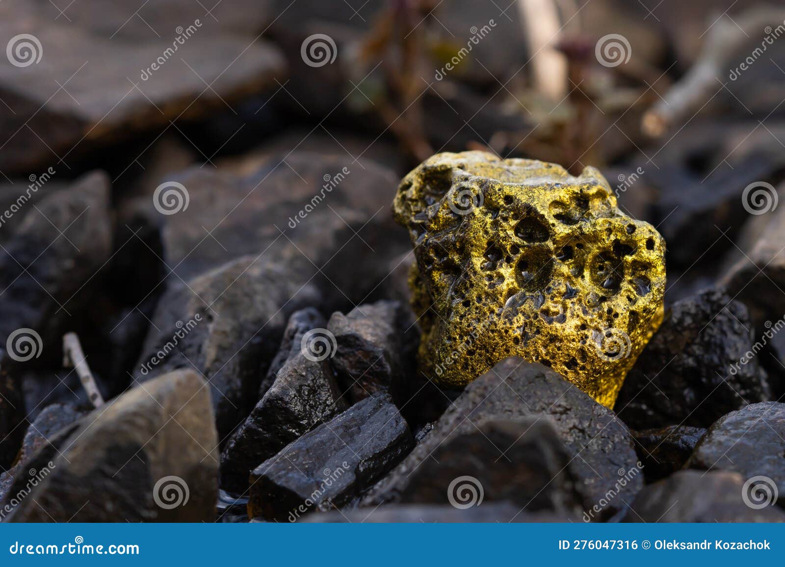 Gold Nugget Mining from the River in Austria, Real Gold. Stock Photo ...