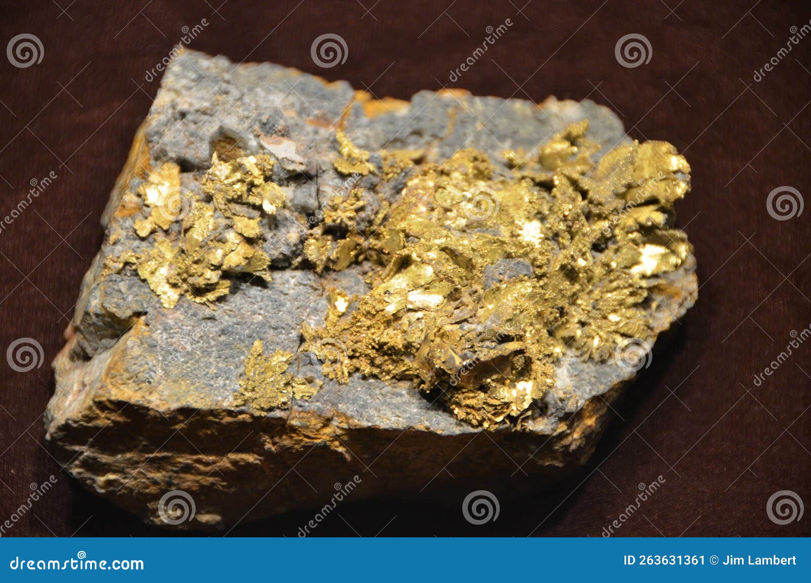 Gold Nuggets stock image. Image of bank, mineral, chunk - 263631361