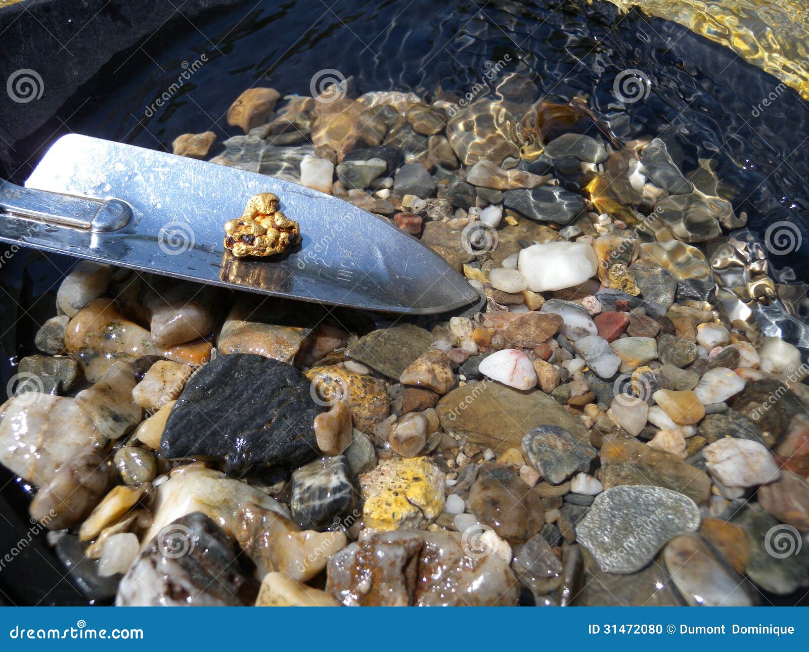Gold nugget stock photo. Image of river, rare, nugget - 31472080