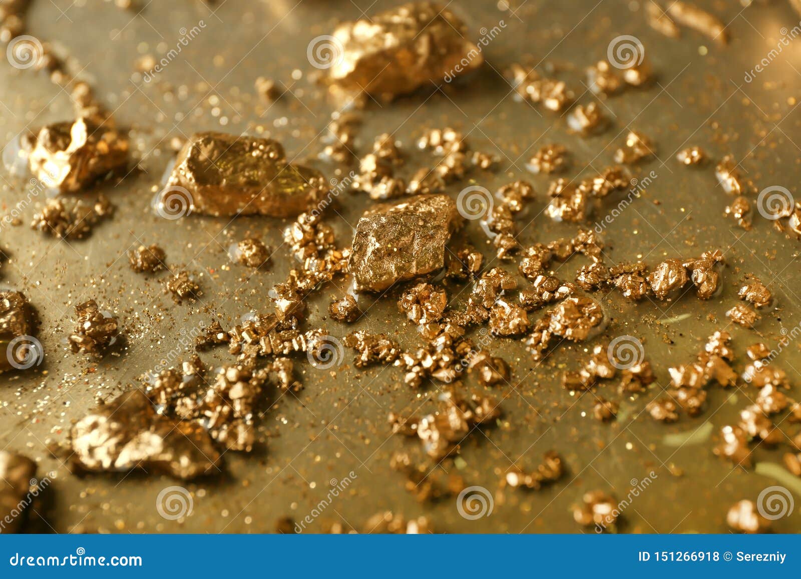 Gold Nuggets on Metal Surface, Closeup Stock Photo - Image of market ...