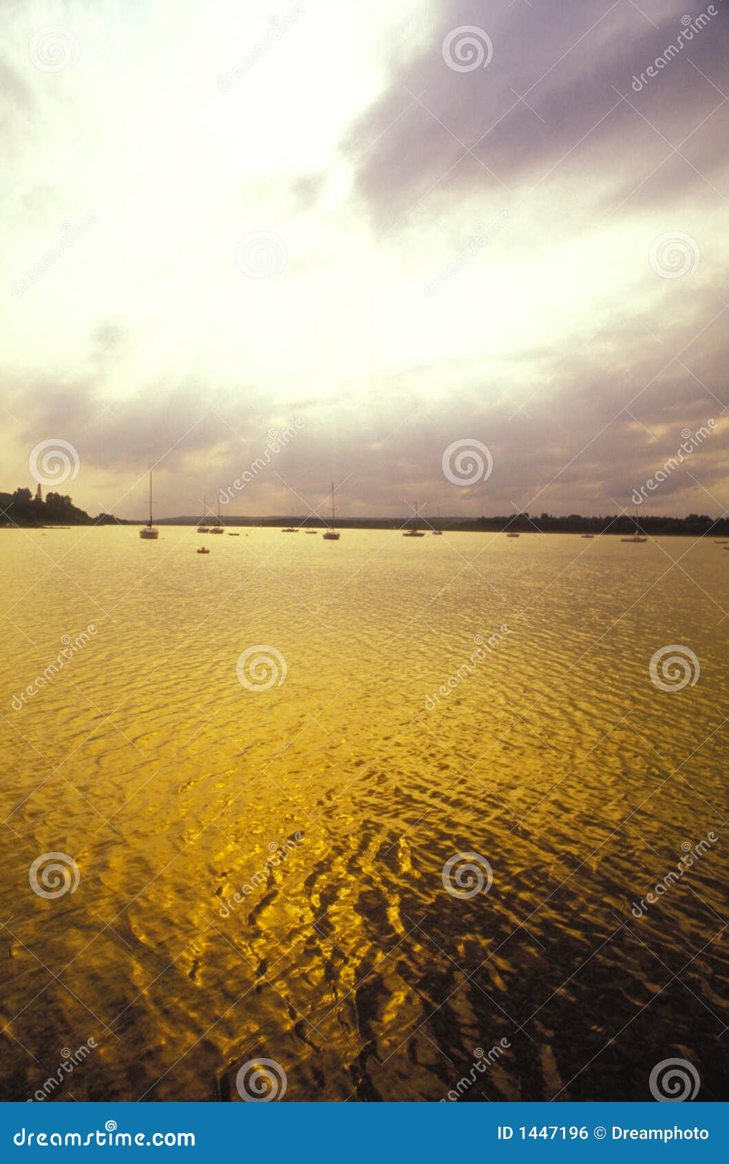 Gold ocean stock photo. Image of colour, distance, water - 1447196