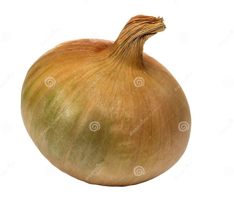 Gold onion stock photo. Image of healthy, natural, road - 45328638