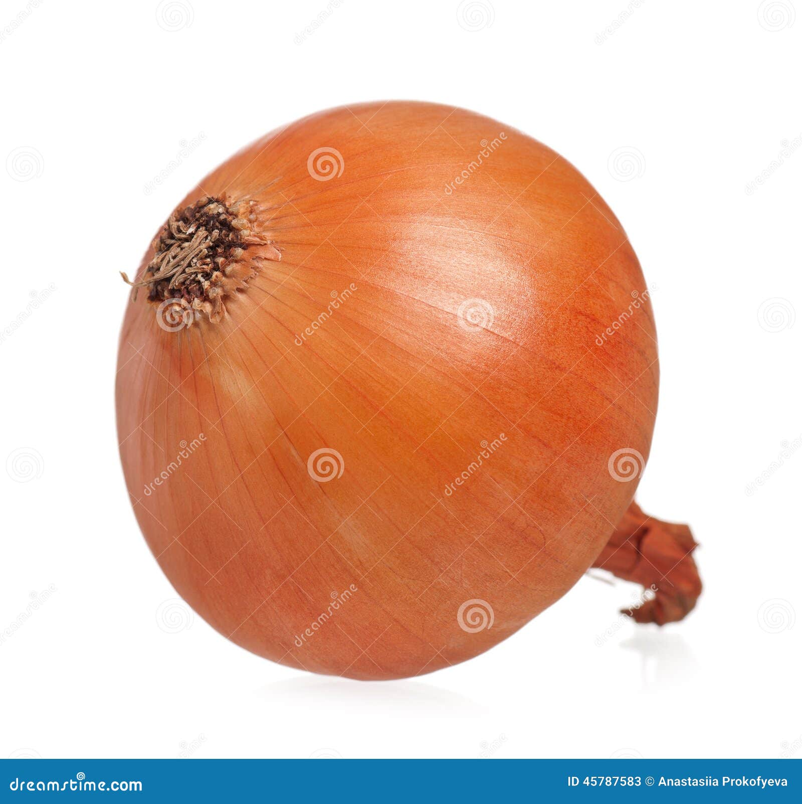 Gold onion stock image. Image of macro, root, flavor - 45787583