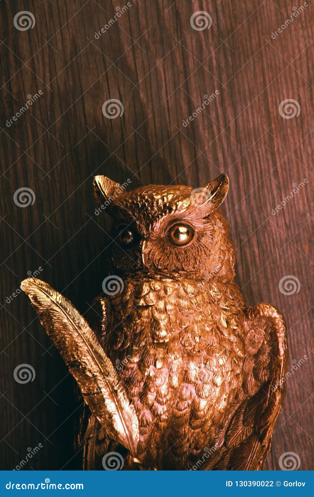 Gold owl figure studio stock photo. Image of elegance - 130390022