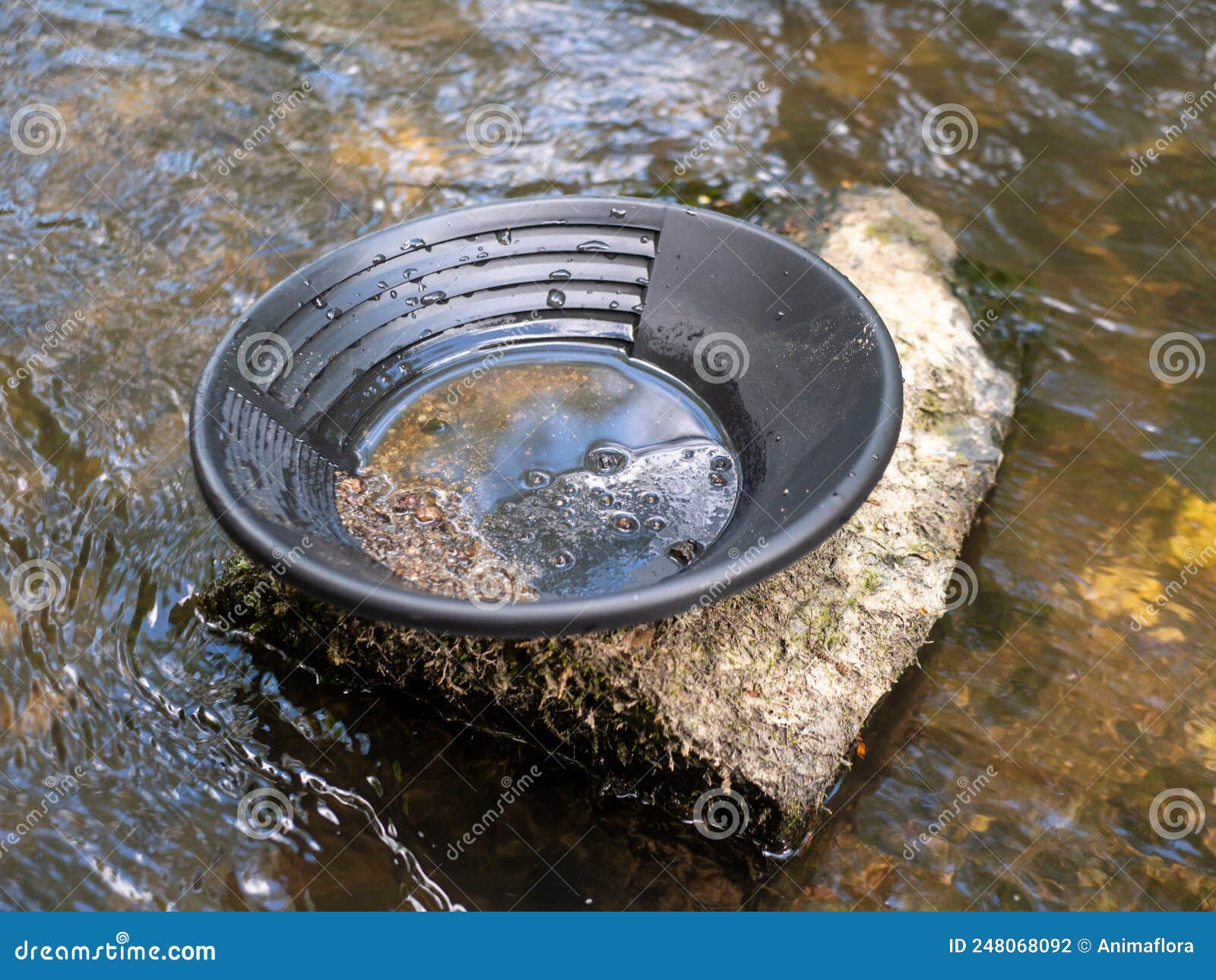 Gold pan for washing gold stock photo. Image of dream - 248068092