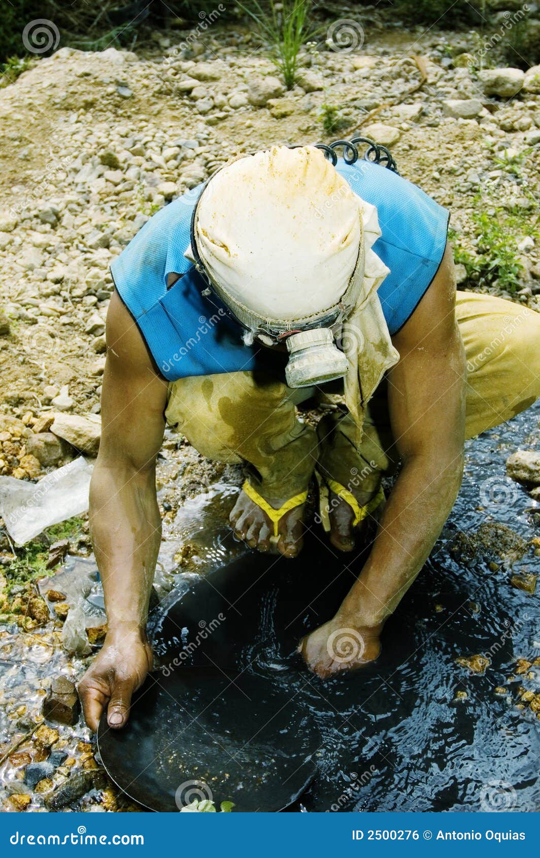 Gold Panner stock photo. Image of looking, gold, currency - 2500276