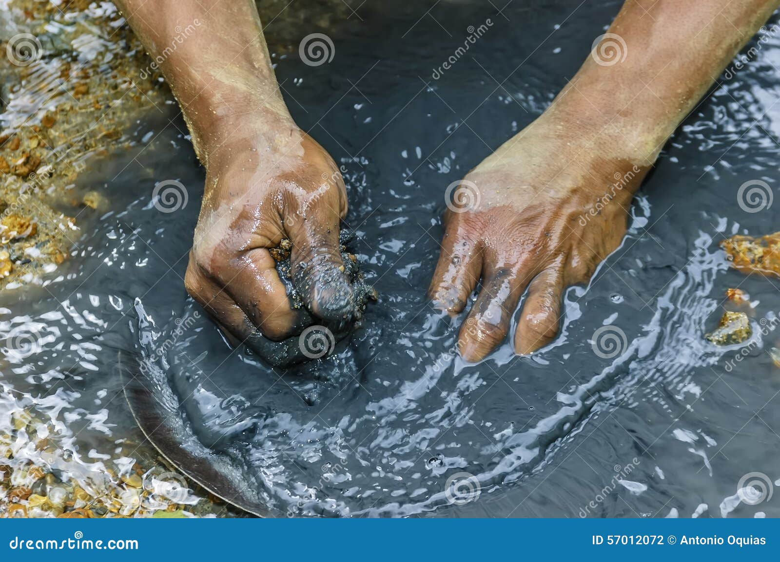 Gold Panner stock photo. Image of goldmine, rush, rock - 57012072