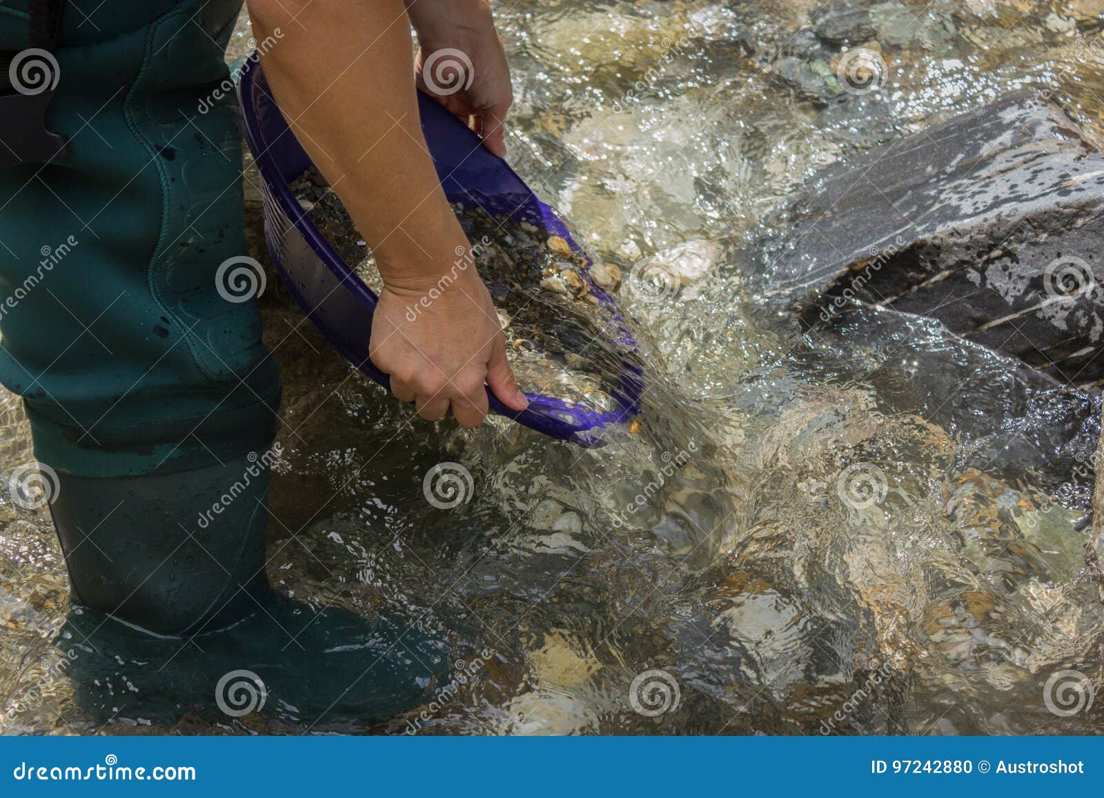 Gold panning in the river stock photo. Image of panner - 97242880