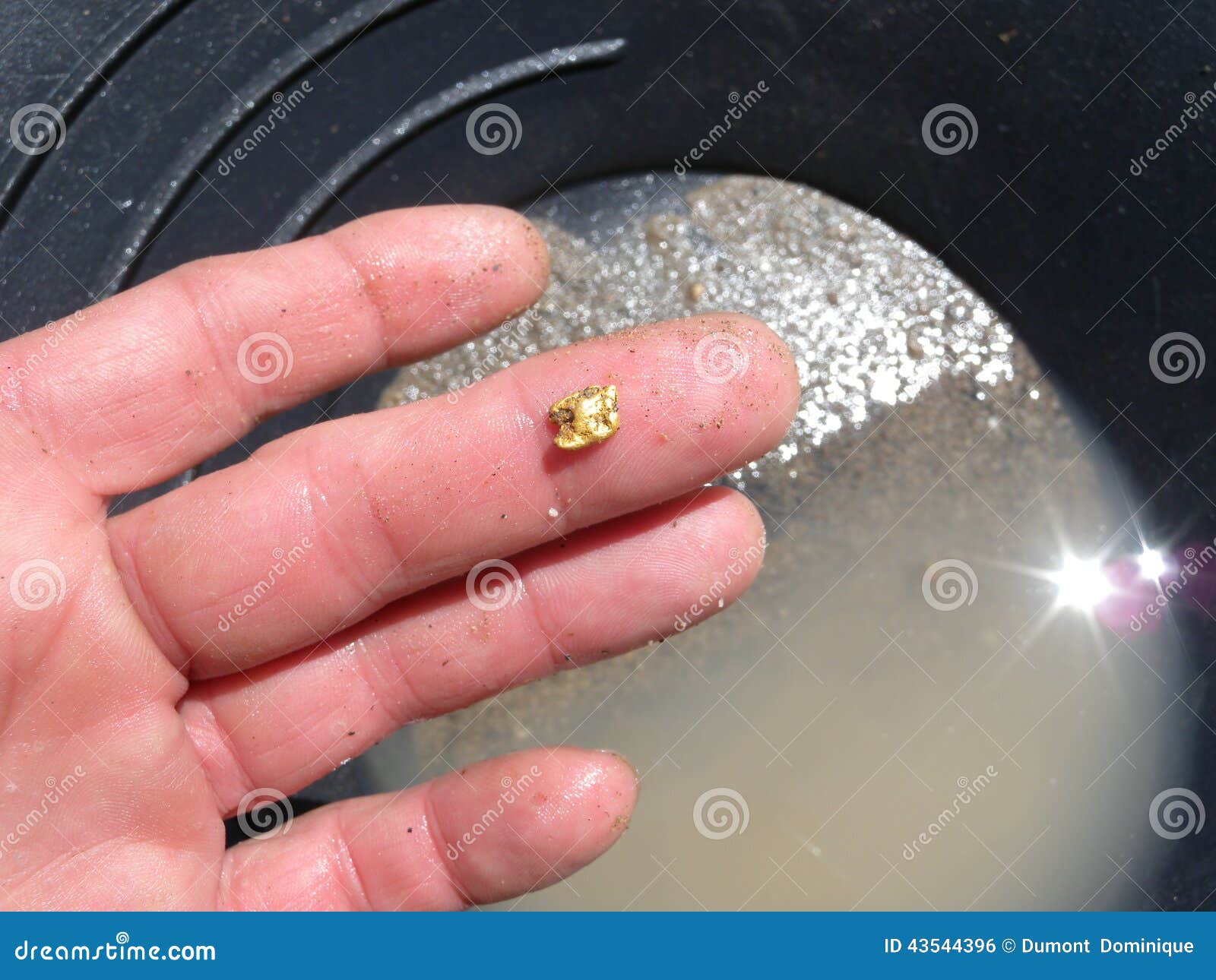 Gold panning stock photo. Image of held, cracks, europe - 43544396
