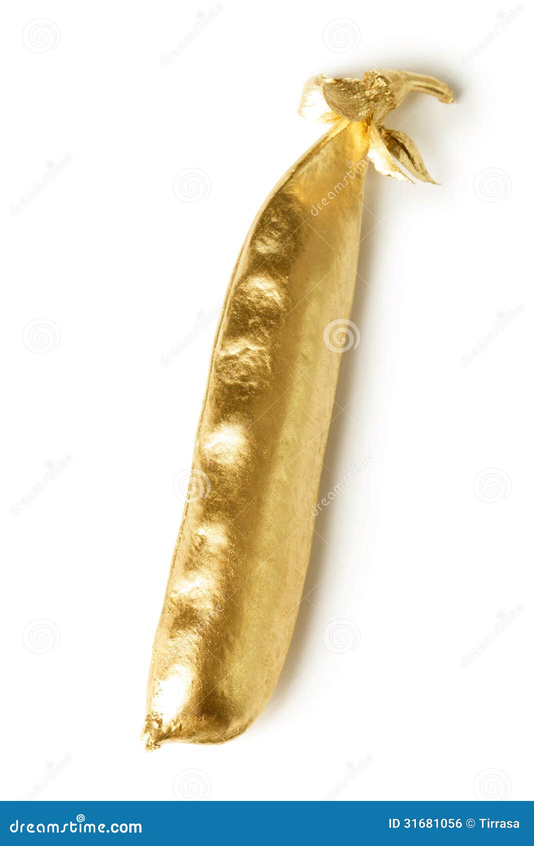 Gold pea pod stock photo. Image of farm, bean, open, golden - 31681056