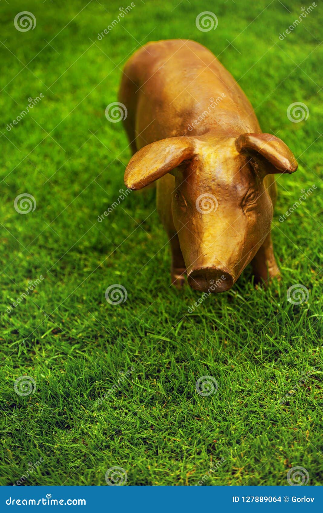 Gold pig figure day light stock photo. Image of life - 127889064