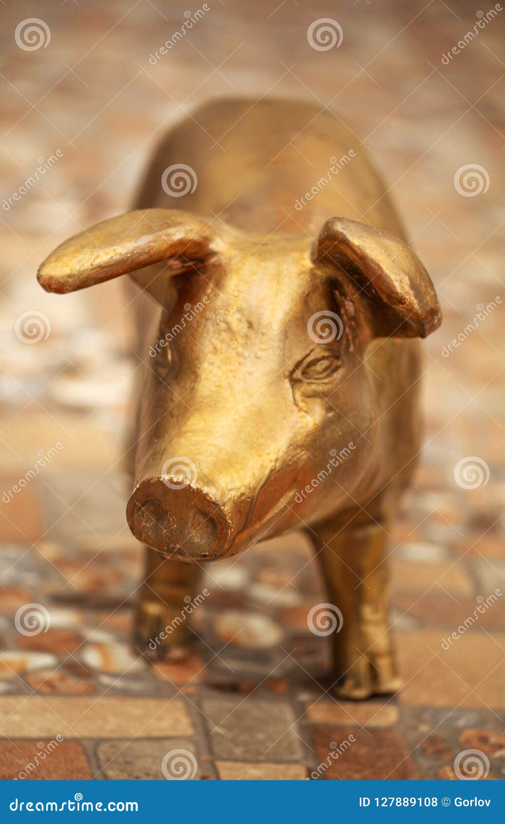 Gold pig figure day light stock photo. Image of funny - 127889108