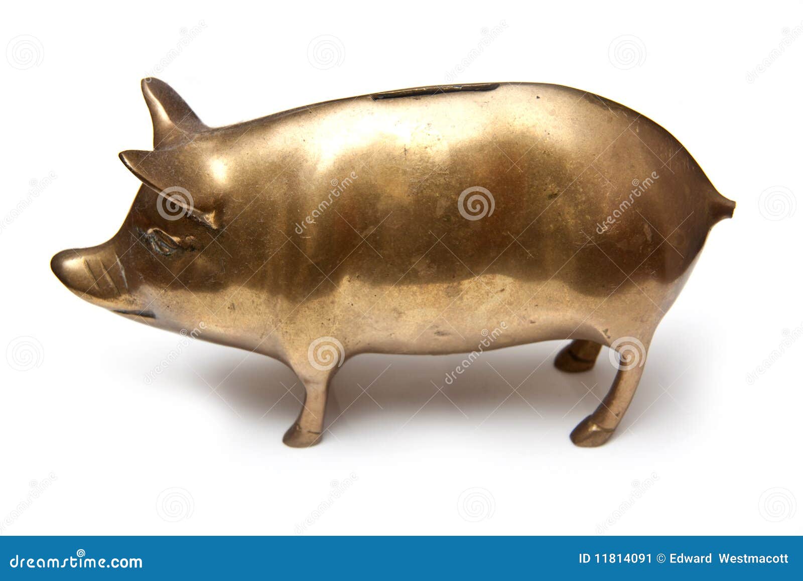 Gold piggy bank stock image. Image of animal, side, gold - 11814091
