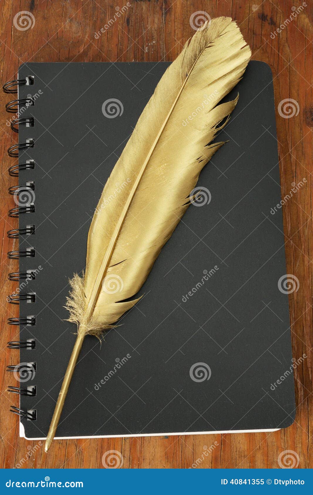 Gold quill and diary stock image. Image of antique, grunge - 40841355