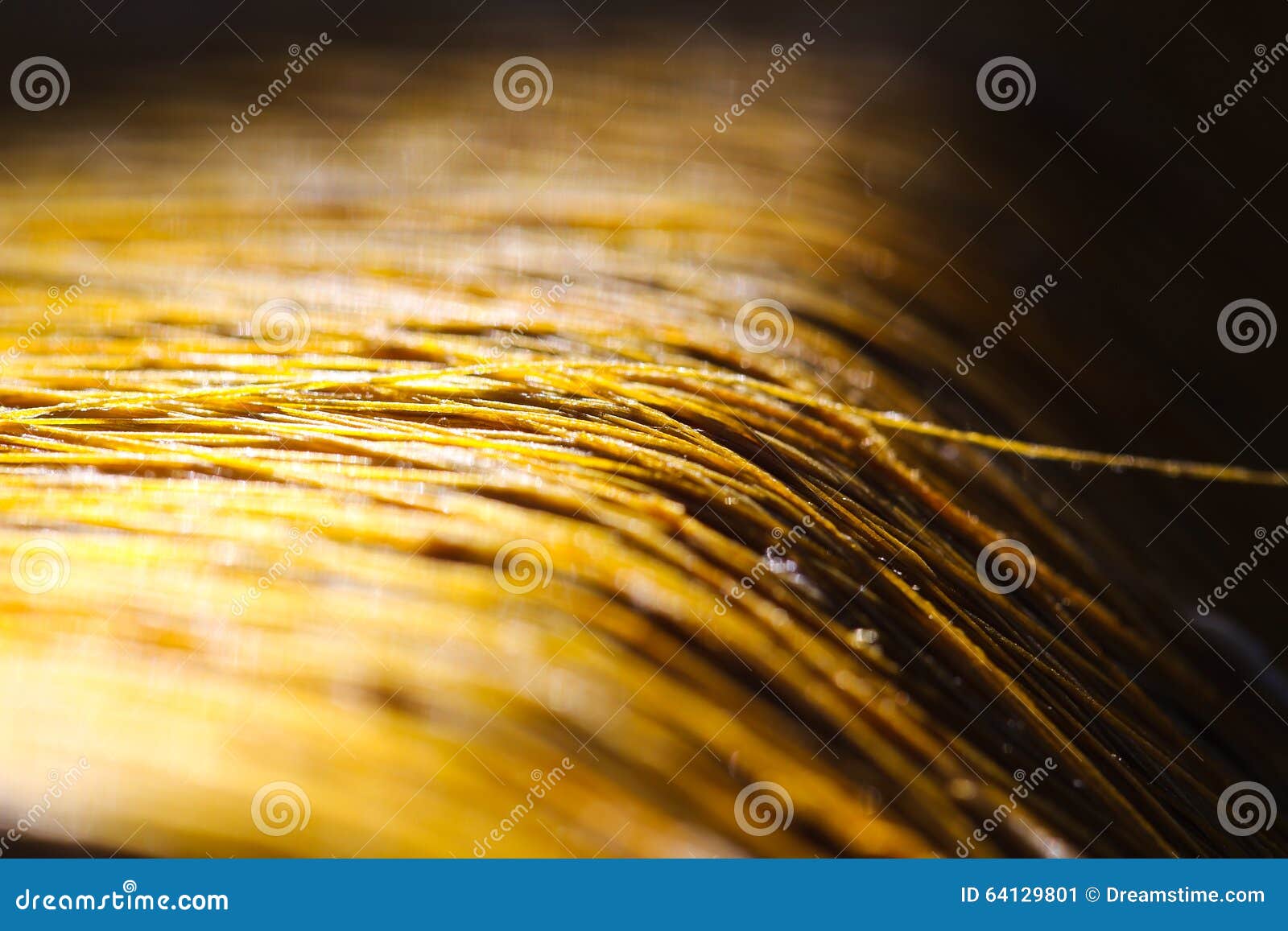 Gold Raw Silk Thread Black Background Stock Photos - Free & Royalty ...