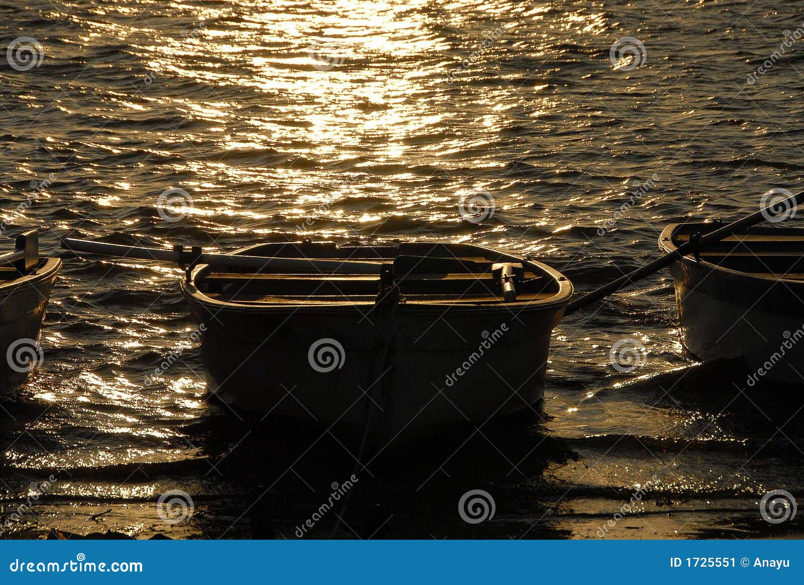 Gold Reflections on the Lake Stock Image - Image of lake, early: 1725551