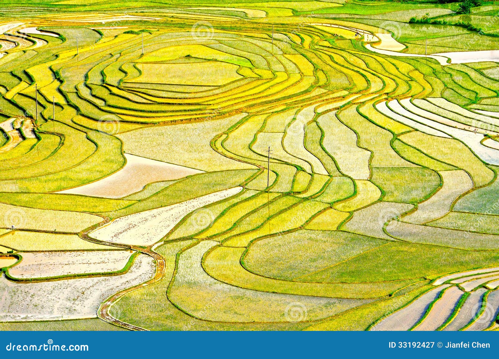 Gold Rice Terraces Of Baping Stock Image | CartoonDealer.com #33192427