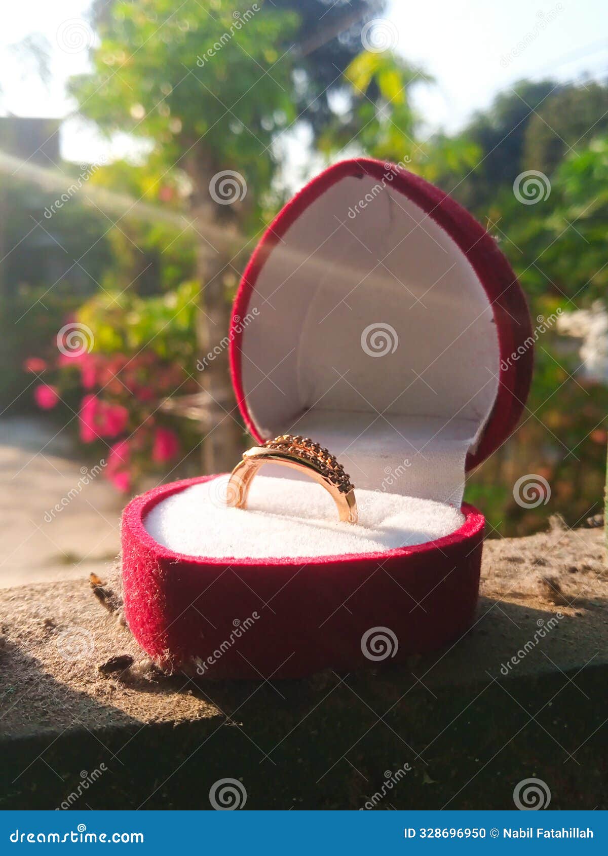 Gold ring in red case stock photo. Image of case, beautiful - 328696950
