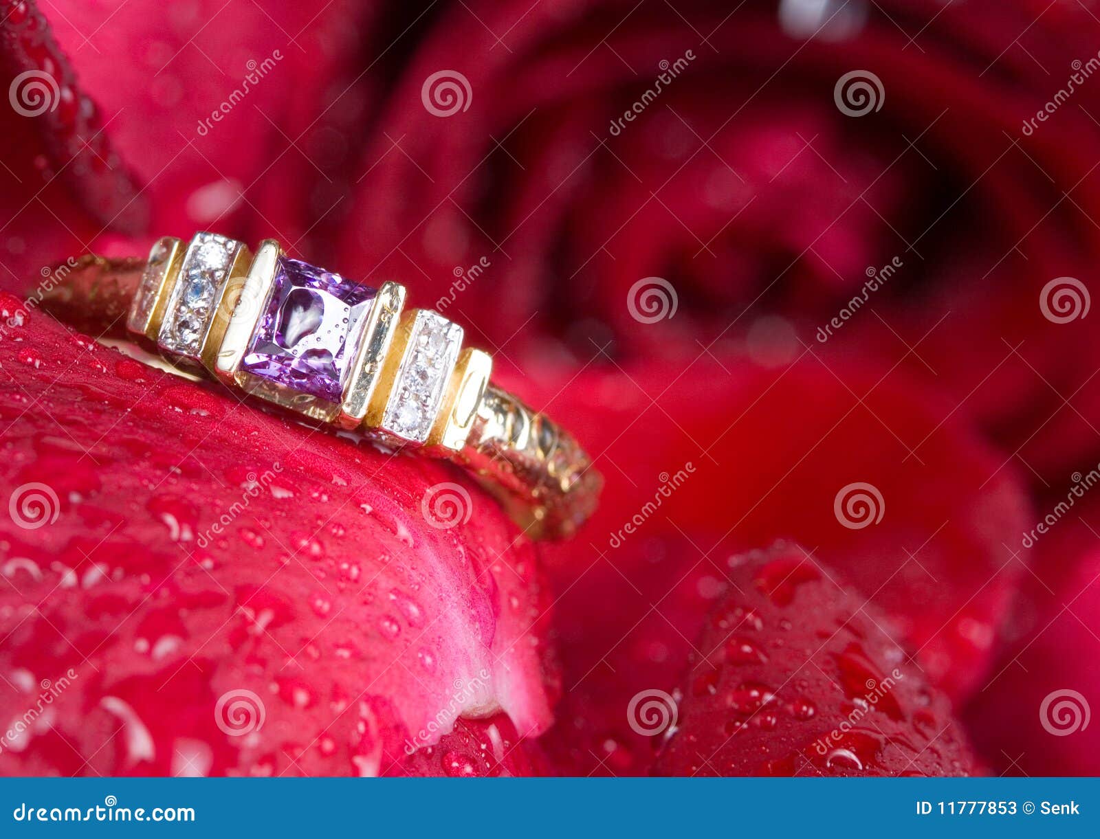 Gold ring and red rose. stock image. Image of magenta - 11777853