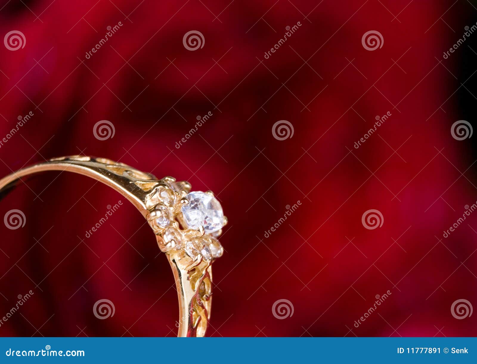 Gold ring and red rose. stock image. Image of ring, flower - 11777891
