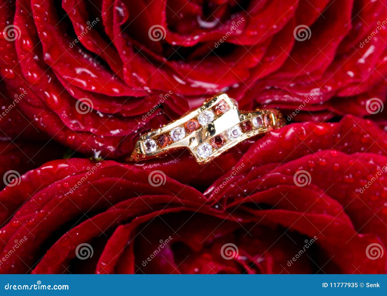 Gold ring and red rose. stock image. Image of wedding - 11777935