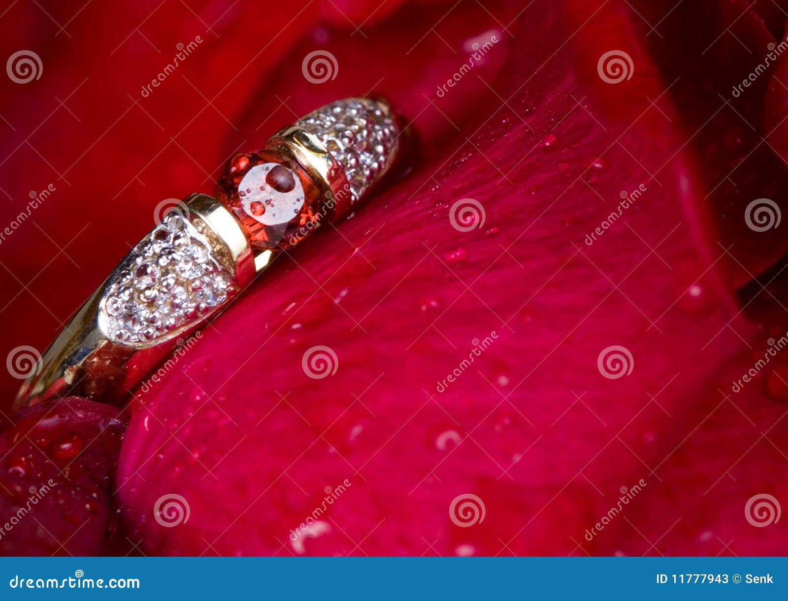 Gold ring and red rose. stock image. Image of jewellery - 11777943