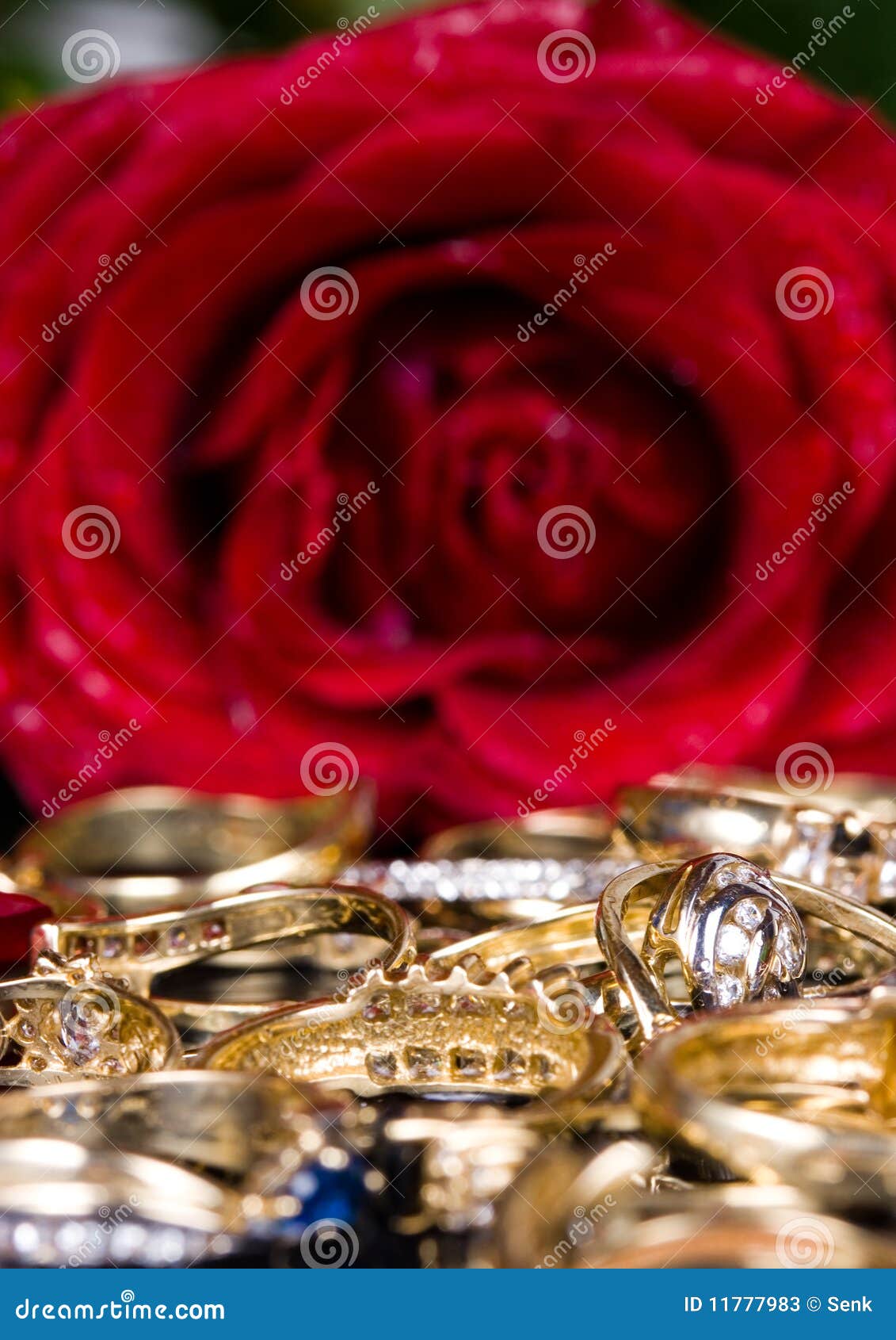 Gold ring and red rose. stock image. Image of ring, flower - 11777983