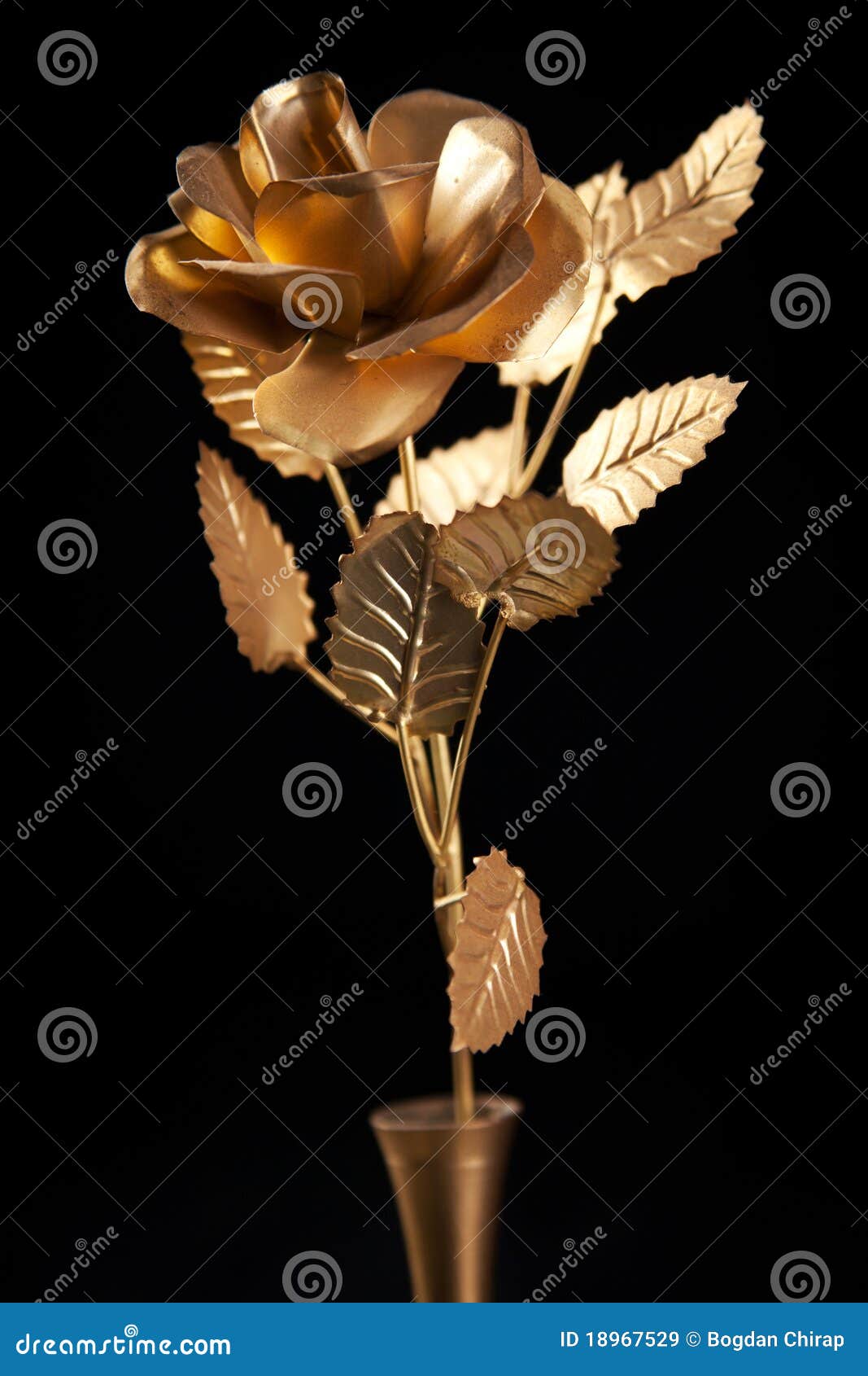 Gold rose stock image. Image of stem, beauty, focus, rose - 18967529