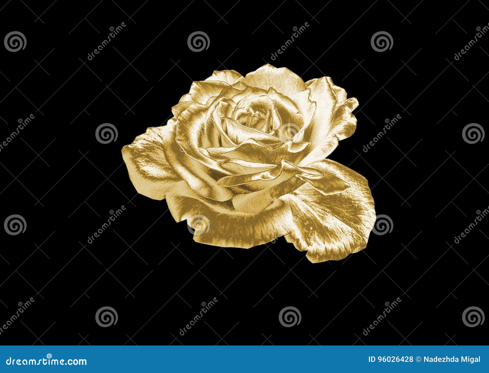 Gold rose stock photo. Image of gold, golden, rose, flower - 96026428
