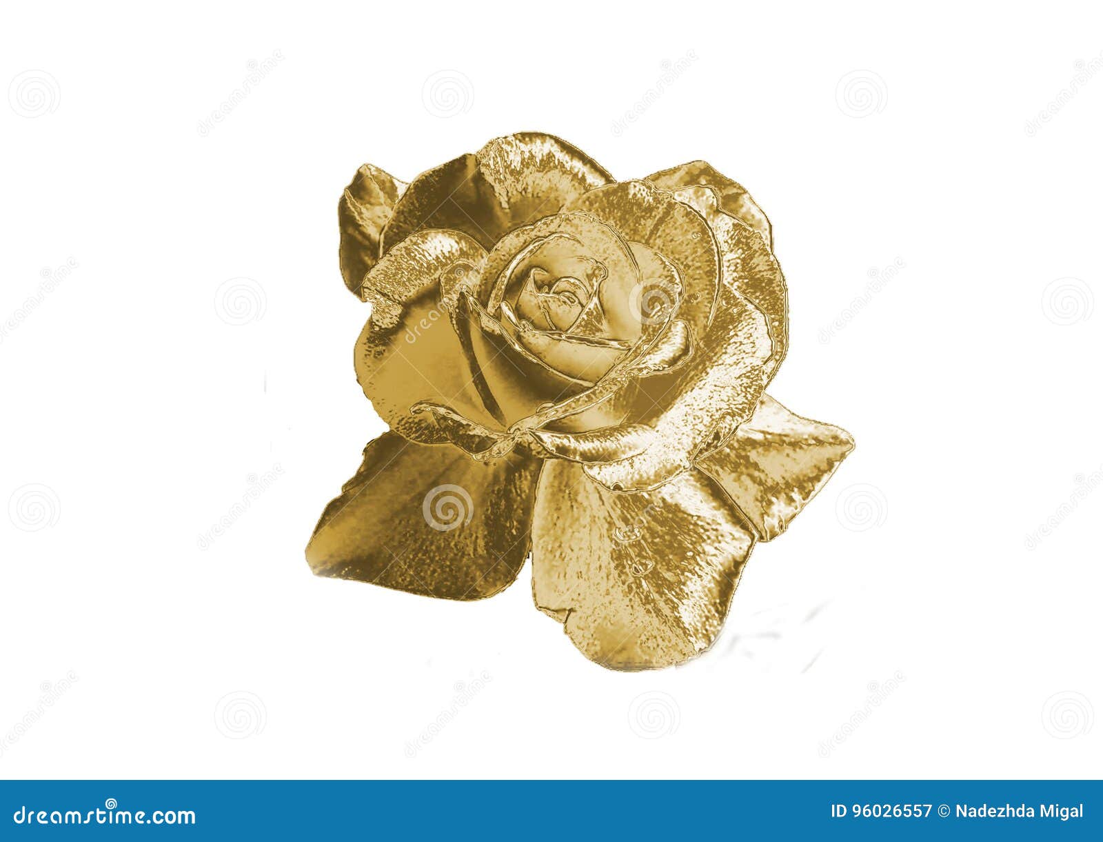 Gold rose stock image. Image of closeup, bouquet, roses - 96026557