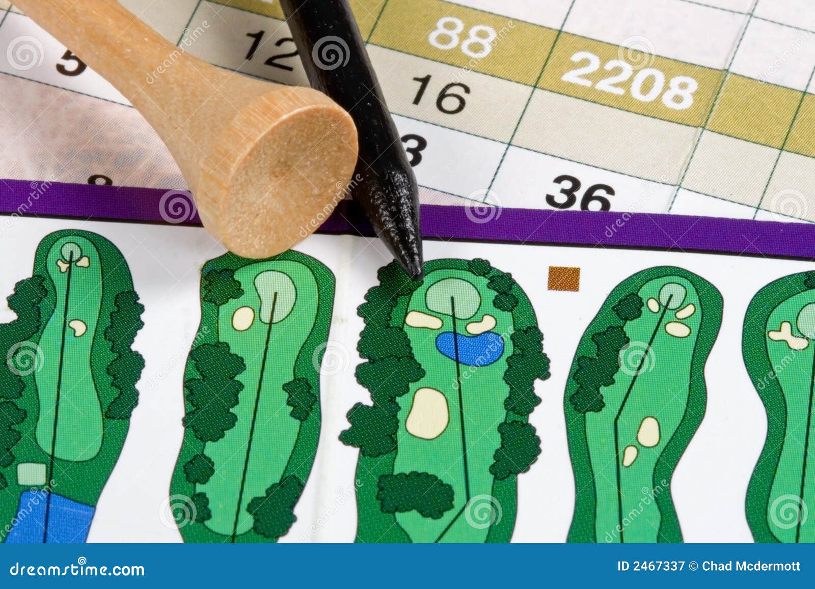 Gold Scorecard stock image. Image of eagle, sport, tees - 2467337
