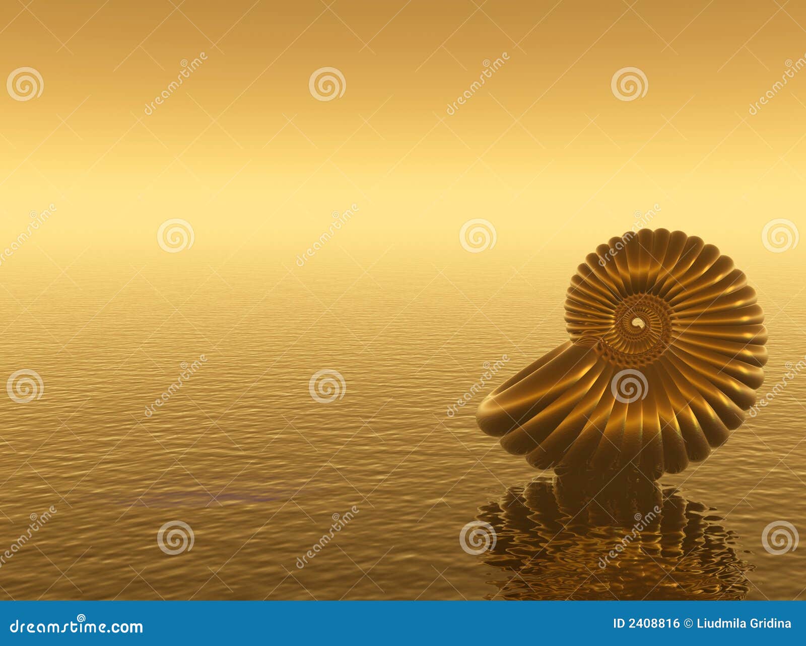 Gold Shell stock illustration. Illustration of seashell - 2408816