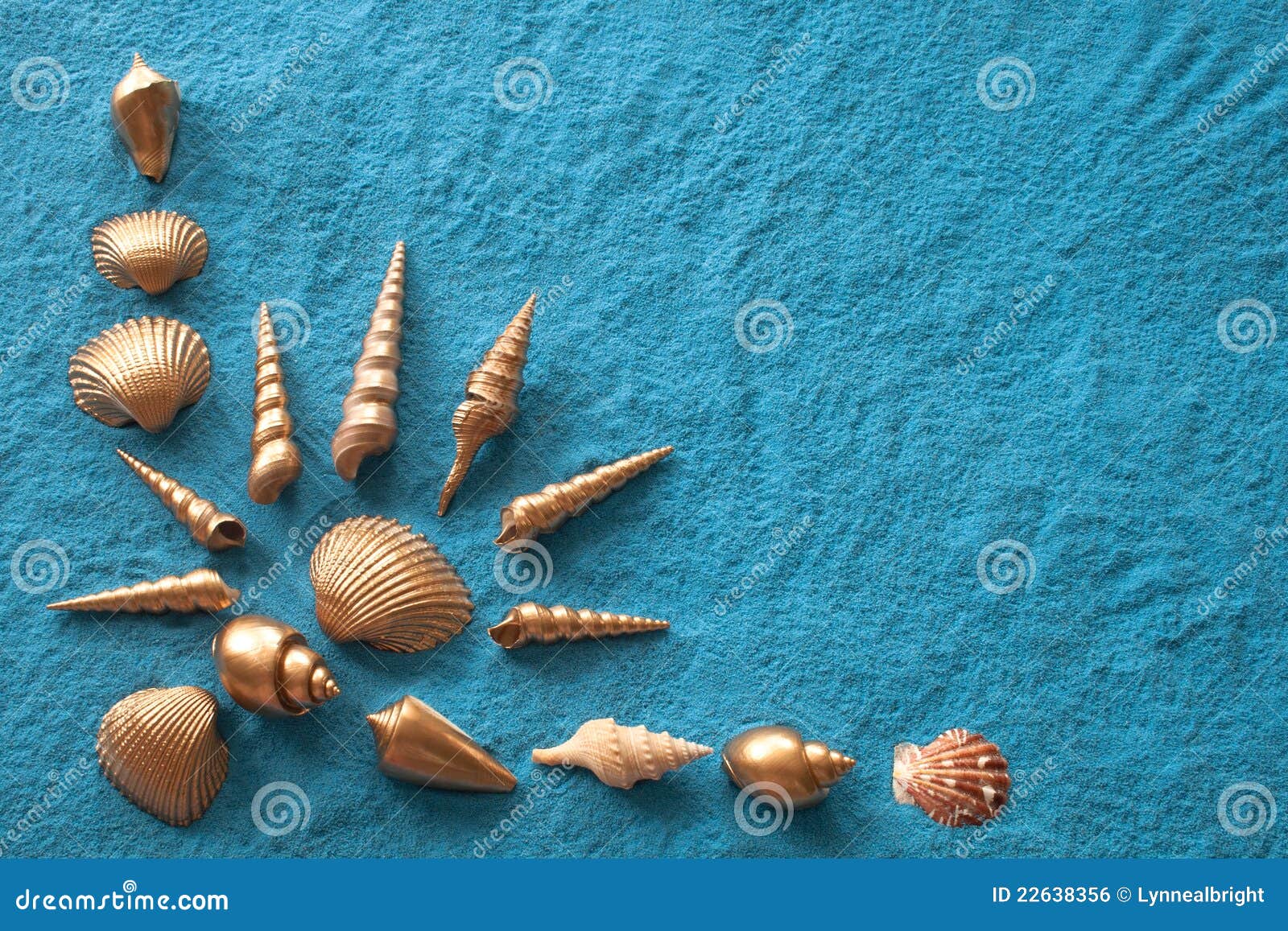 Gold Shells on Blue Sand stock photo. Image of right - 22638356
